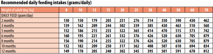מונג' גורים לכל הגזעים מבוסס סלמון ואורז – sizar store